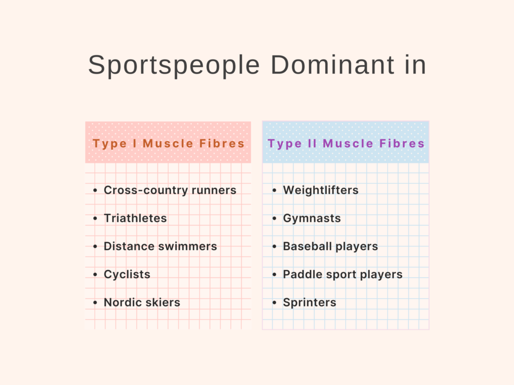 Barbell Weight: Complete Guide for Passionate Weightlifters